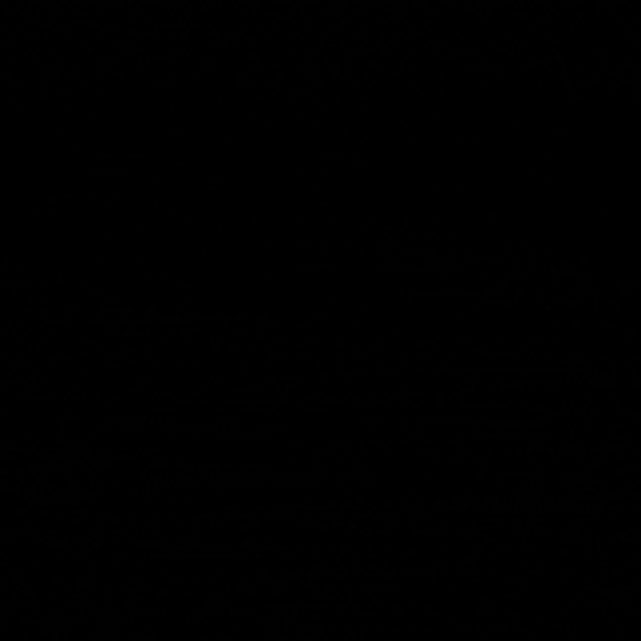 Custom Videos and Animated Graphics